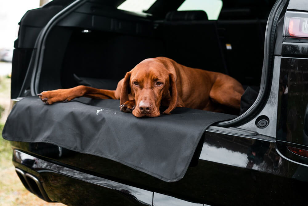 Danish Design Boot Bed, Dog Bed for Car Boot – Dog Beds UK Online